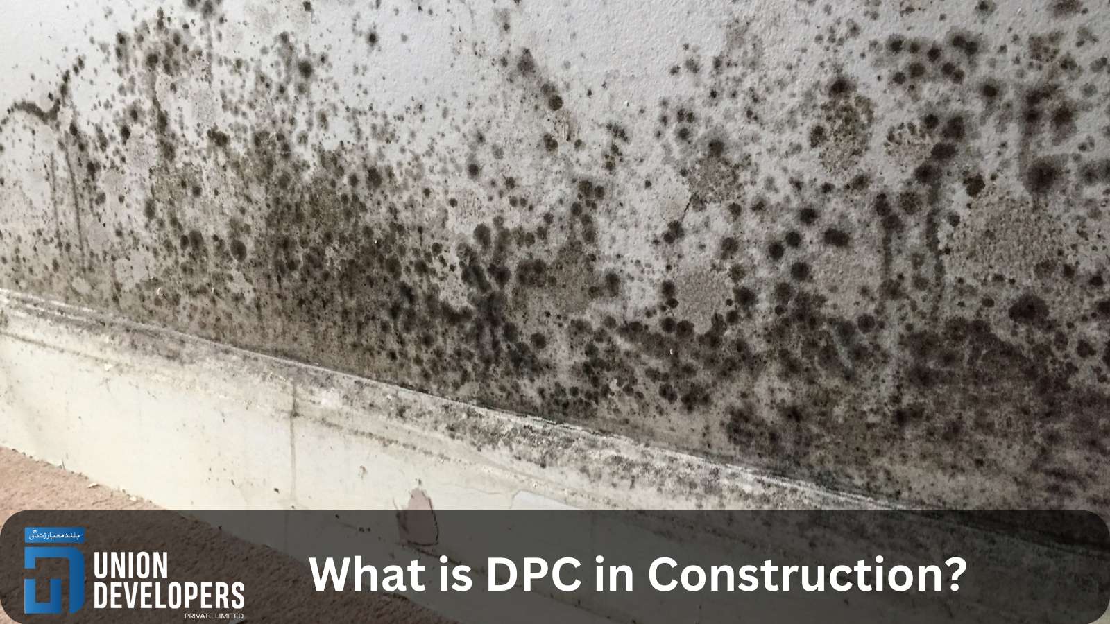 Significance of DPC in Construction | Safeguard Structures
