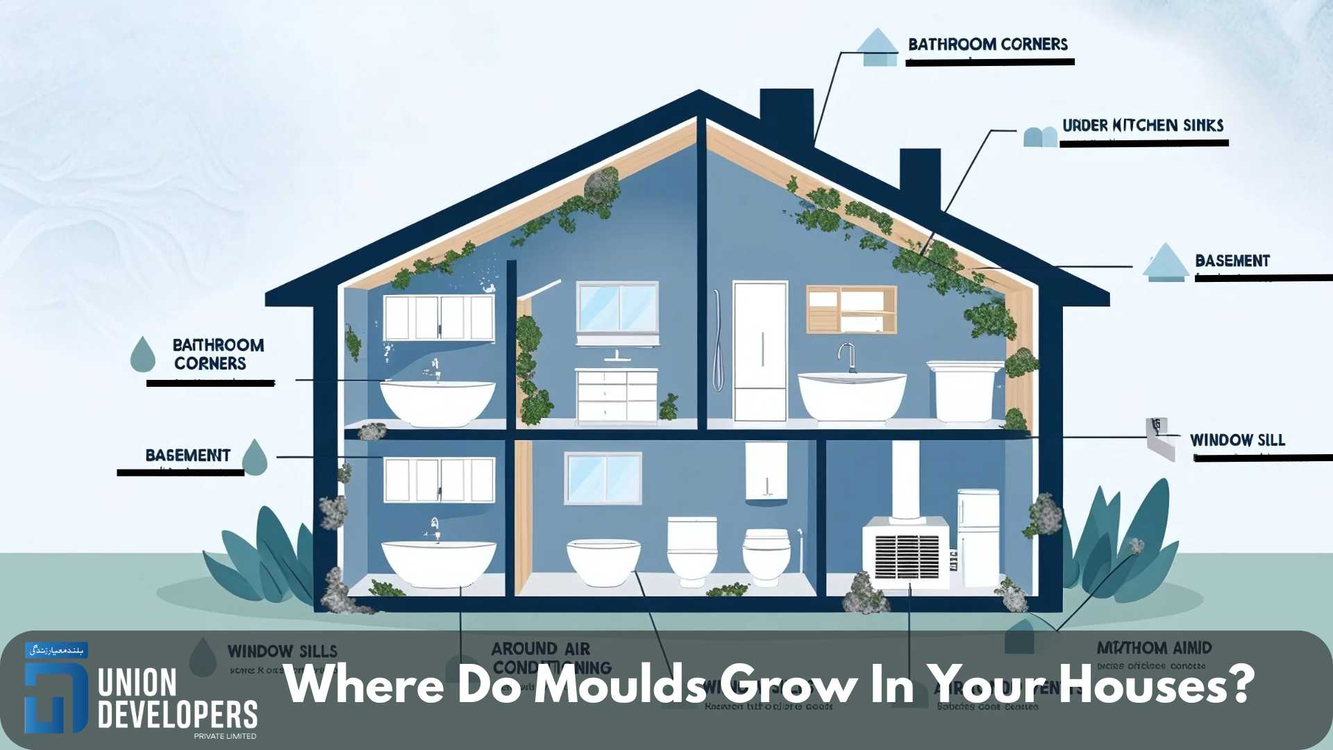 How To Prevent Moulds On Walls: Causes, Effects, And Prevention
